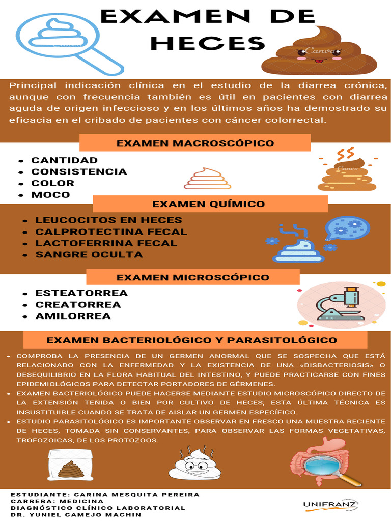 Examen de Heces | PDF | Salud y bienestar | Ciencia y matemáticas