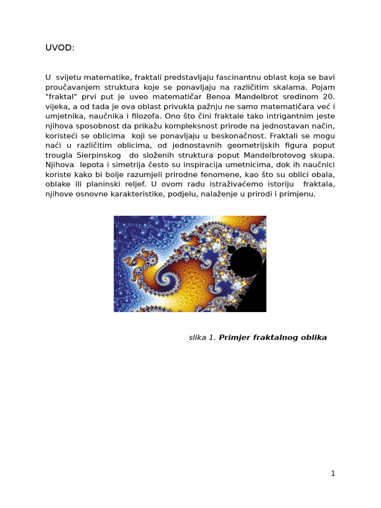 3.maturski Jovana | PDF