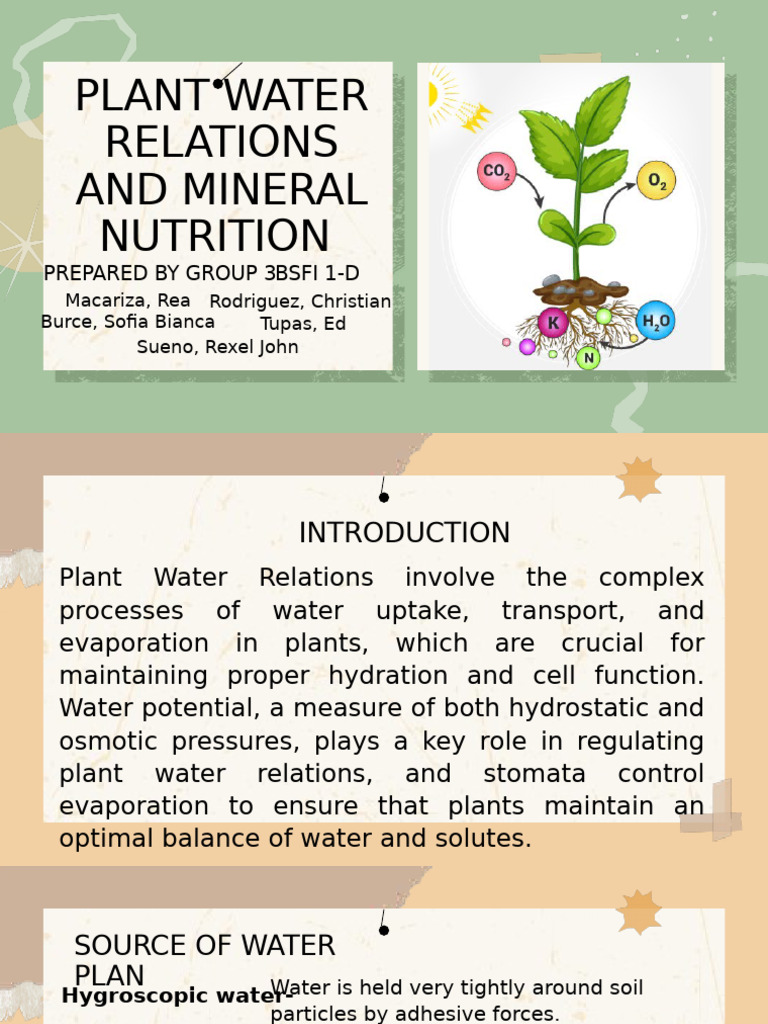Plant Water Relations Mineral Nutrition | PDF