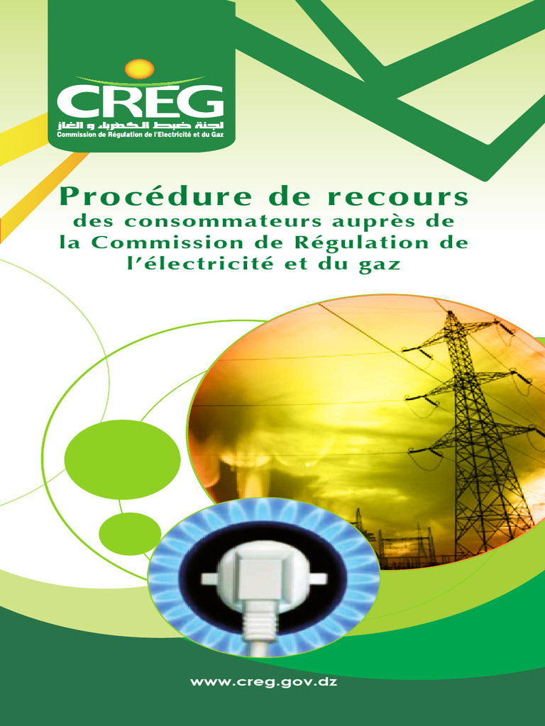Procedure Recours | PDF