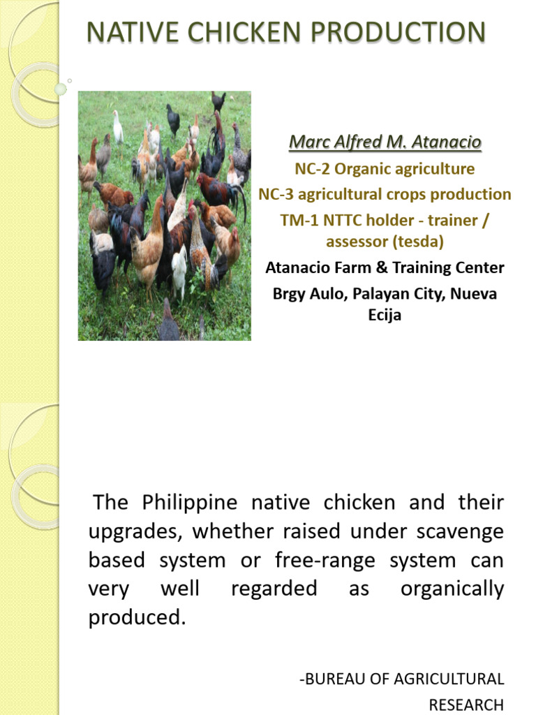 Native Chicken Production | PDF