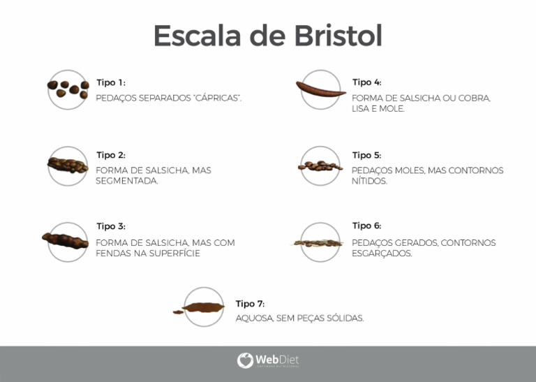 44 - Escala de Bristol | PDF