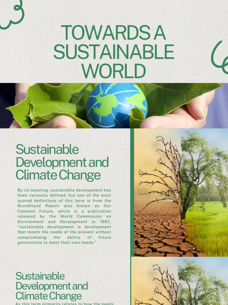 Towards A Sustainable World | PDF