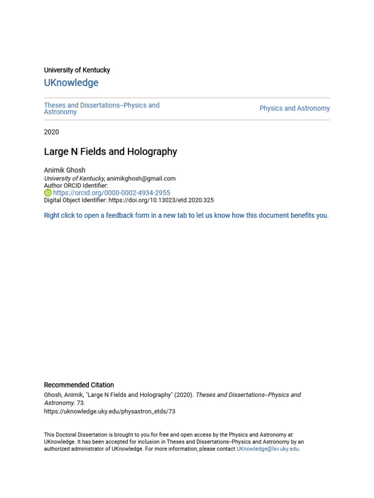 Large N Fields and Holography | PDF | String Theory | Teaching Methods & Materials