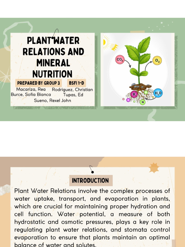 Plant Water Relations Mineral Nutrition | PDF