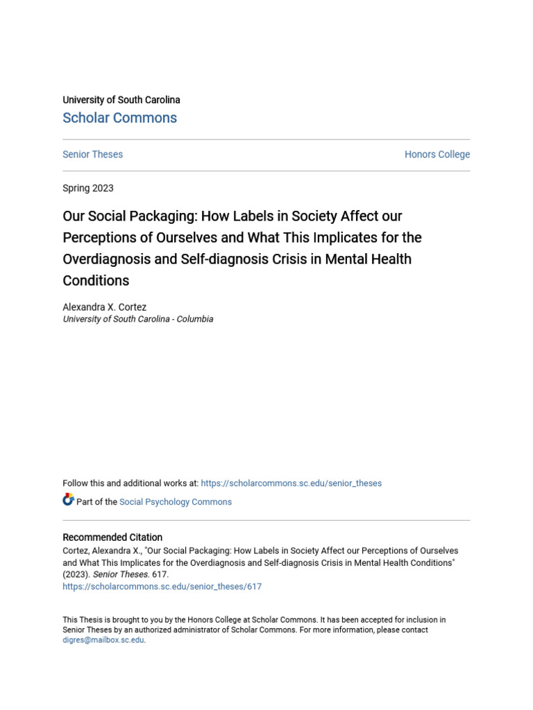 Our Social Packaging - How Labels in Society Affect Our Perception | PDF