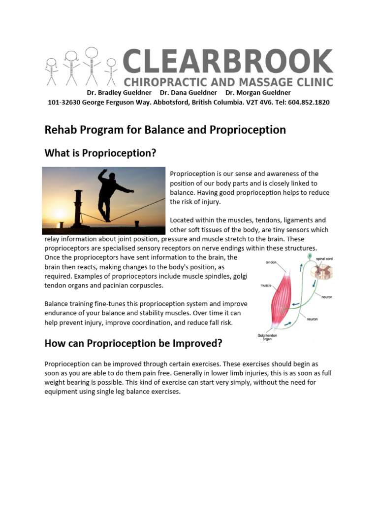 Balance and Proprioception Exercises | PDF