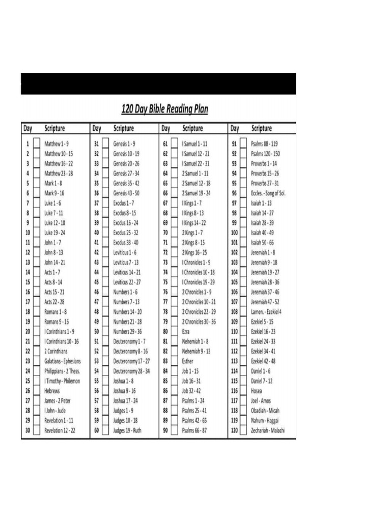 Bible Reading Plan | PDF