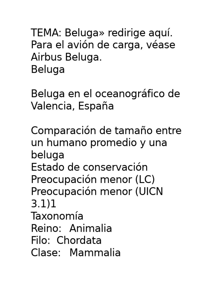 Beluga | PDF