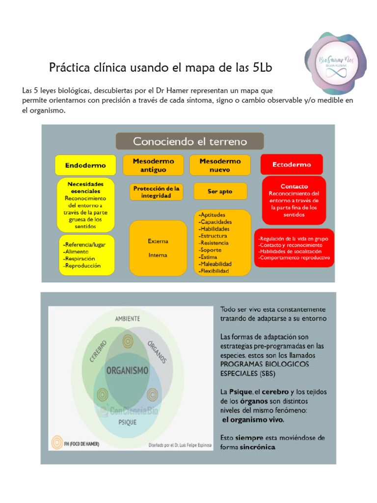 Práctica Clínica Usando El Mapa de Las 5Lb | PDF