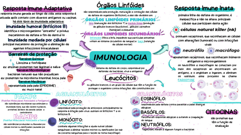 Mapa Mental Imunologia | PDF
