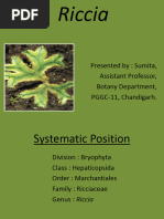 Riccia: Morphology and Life Cycle | PDF | Sexual Reproduction ...