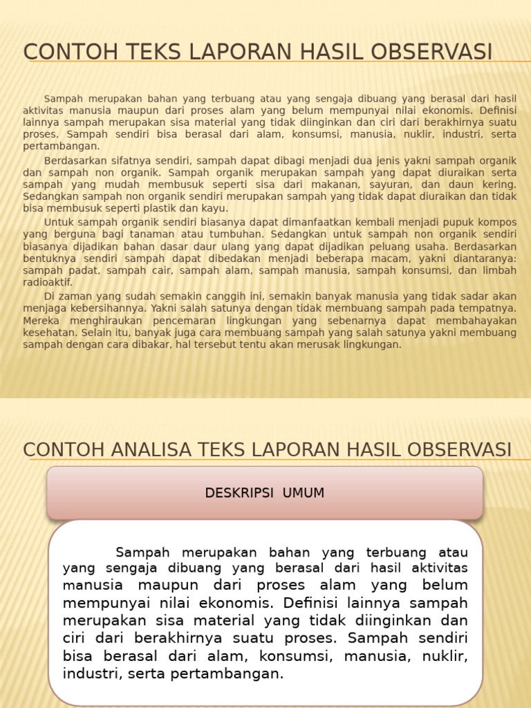 Contoh Teks Laporan Hasil Observasi | PDF