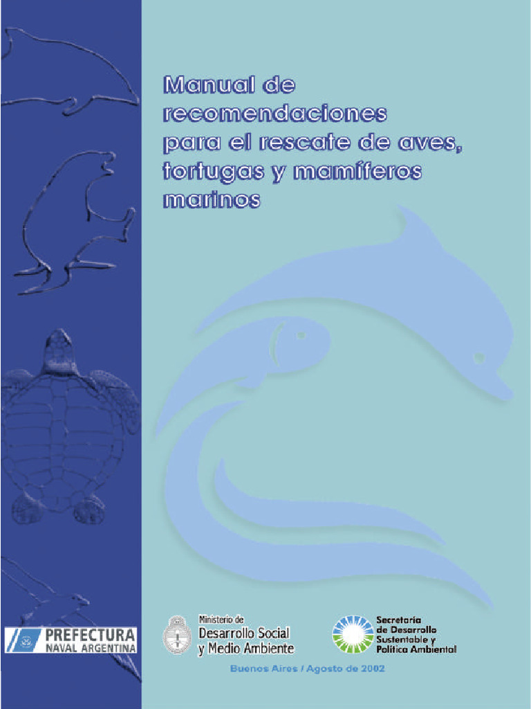 Manual Rescate | PDF