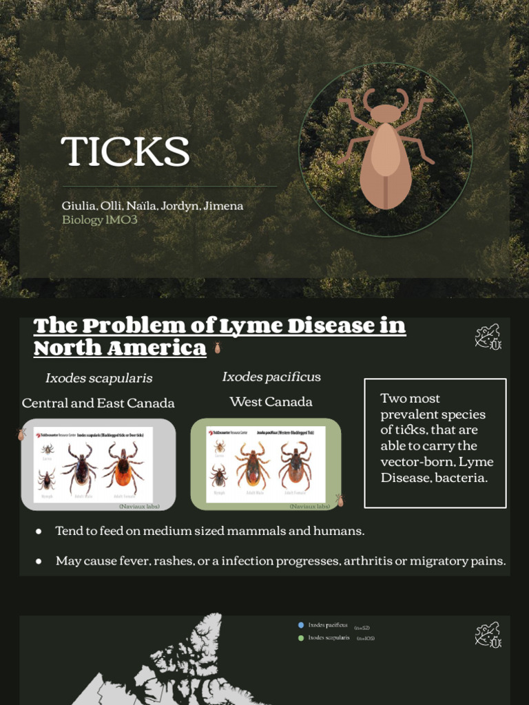 The Tick Tacklers | PDF
