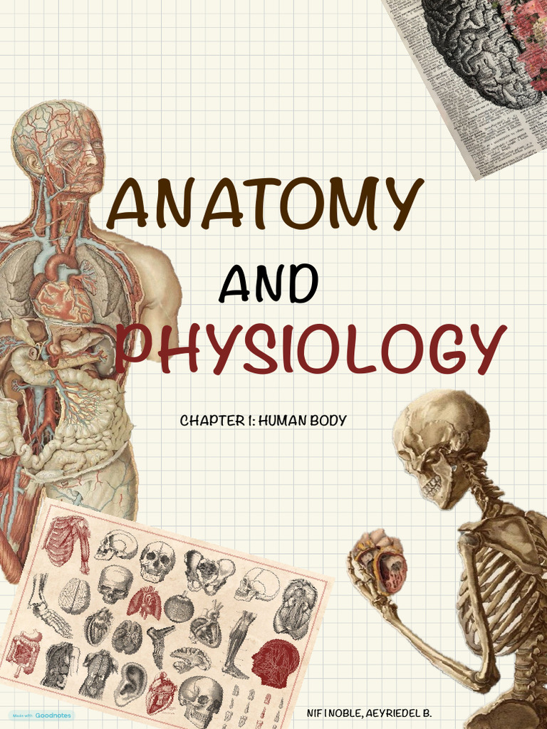 Chapter 1 Anaphy | PDF