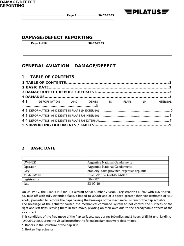 Damage Report Guide (1m) GN807 | PDF