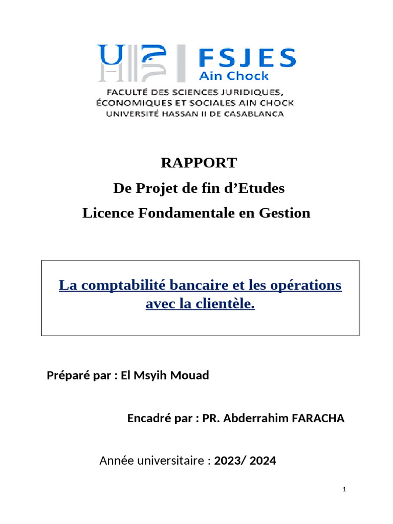 RAPPORT1 | PDF