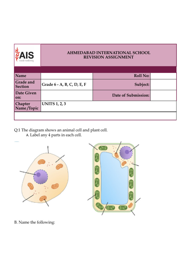 Ais 2024 25 GR 6 Sci Term 1 Revision | PDF