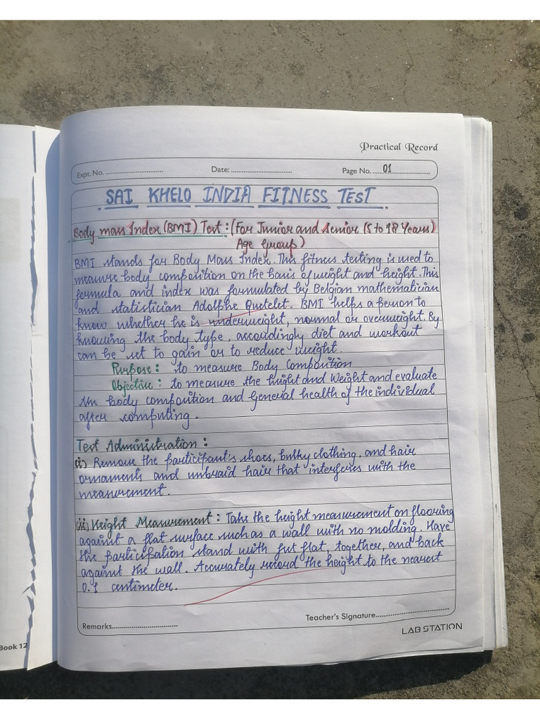 2024-2025 Project on Phe | PDF