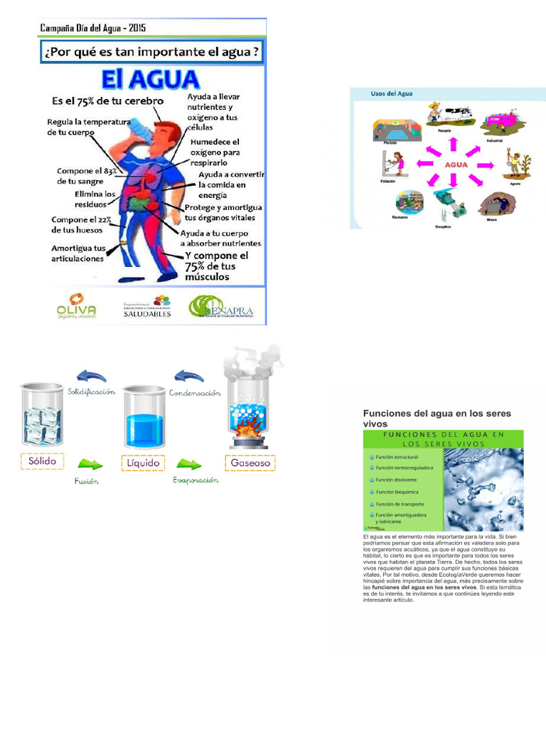 Nuevo Documento PDF-WPS Office | PDF