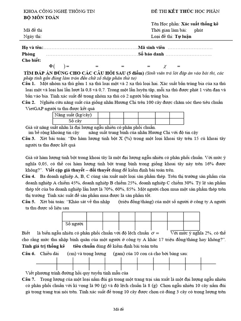 Mẫu đề thi 2(COPY) | PDF