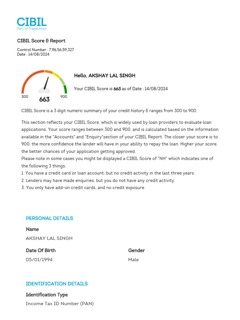 Cibil - Report. | PDF