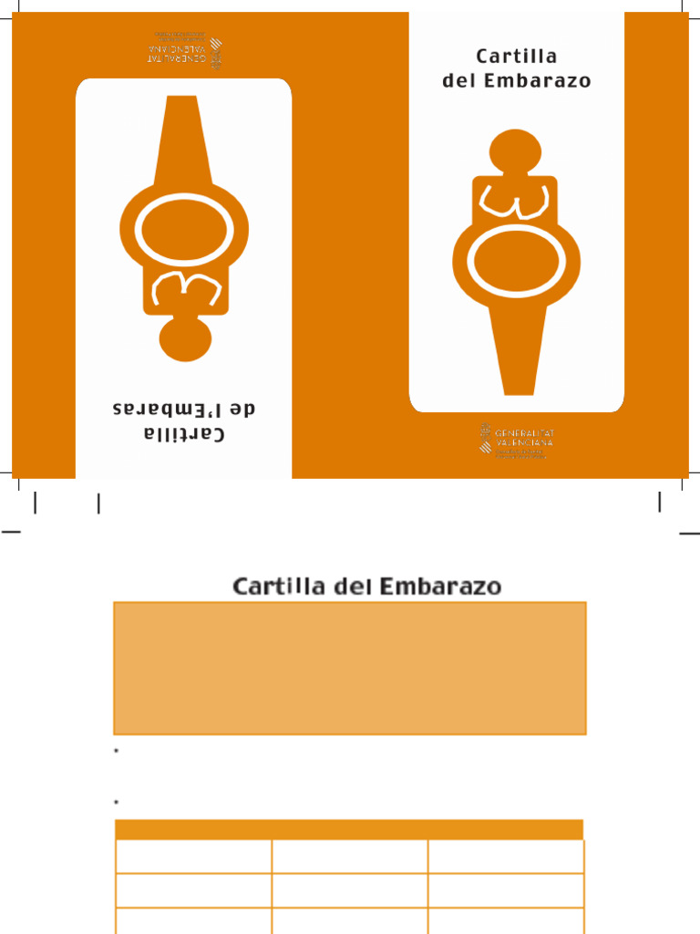 Cartilla Embarazo 2022 CAST | PDF