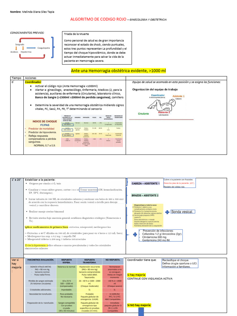 Protocolo Código Rojo en Obstetricia | PDF | Relaciones personales ...