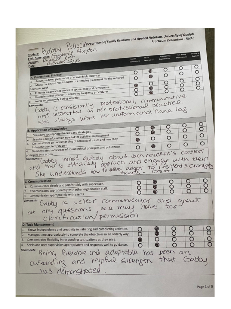 Practicum Final Evaluation | PDF