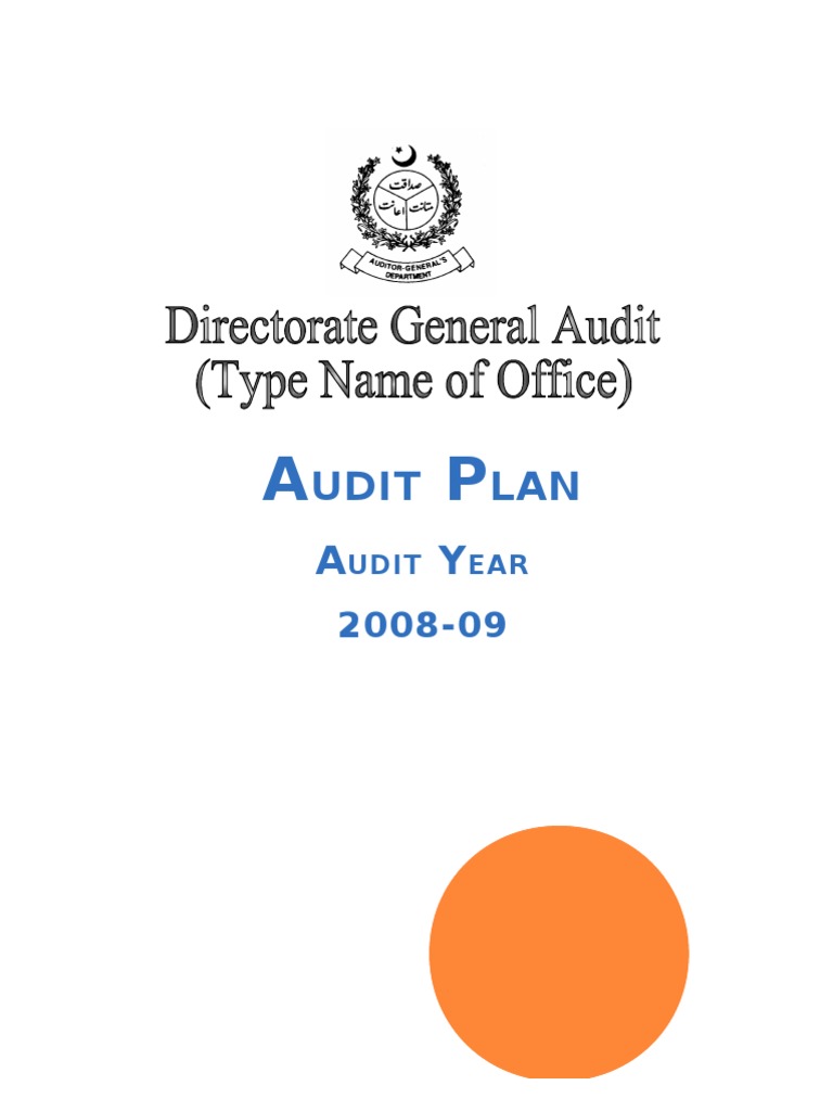 Audit Plan Template) | PDF | Audit | Auditor's Report