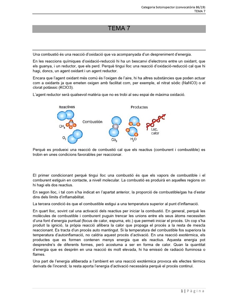 TEMA 7 - Combustió, Gasos I Toxicitat | PDF