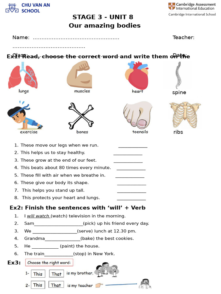 G3 - EOT2 - U8 Review WS | PDF