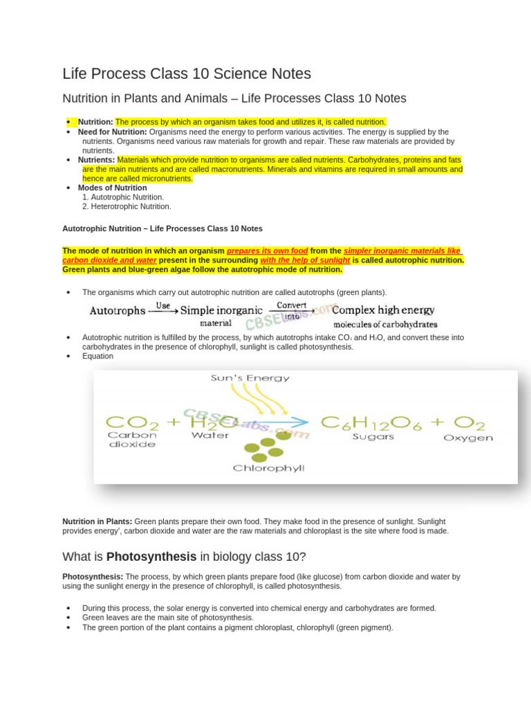 Life Processes | PDF