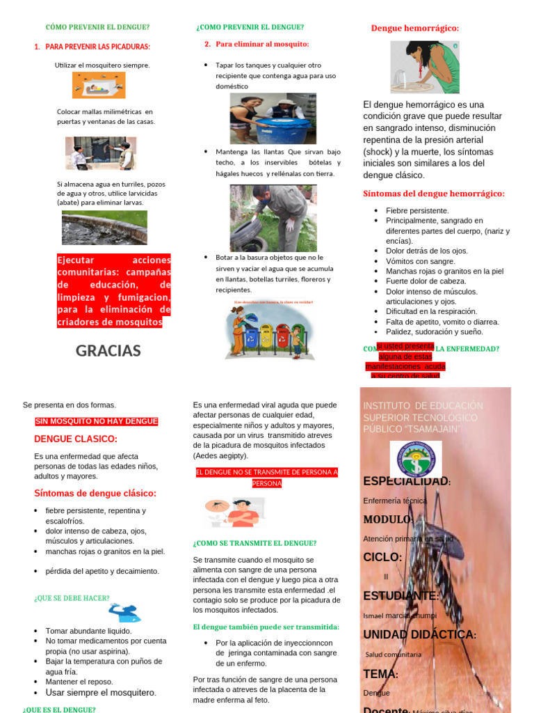 Triptico Original | PDF