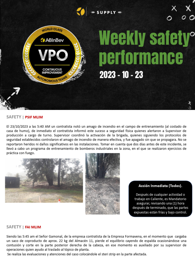 Weekly Performance Safety VOP Malt | PDF