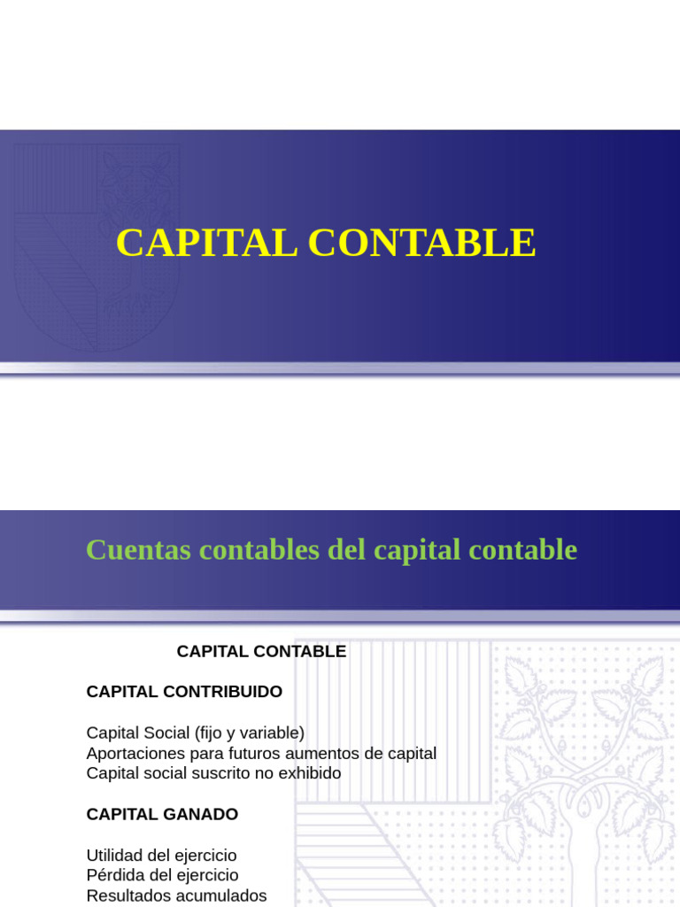 Tema Capital Contable 2024 | PDF