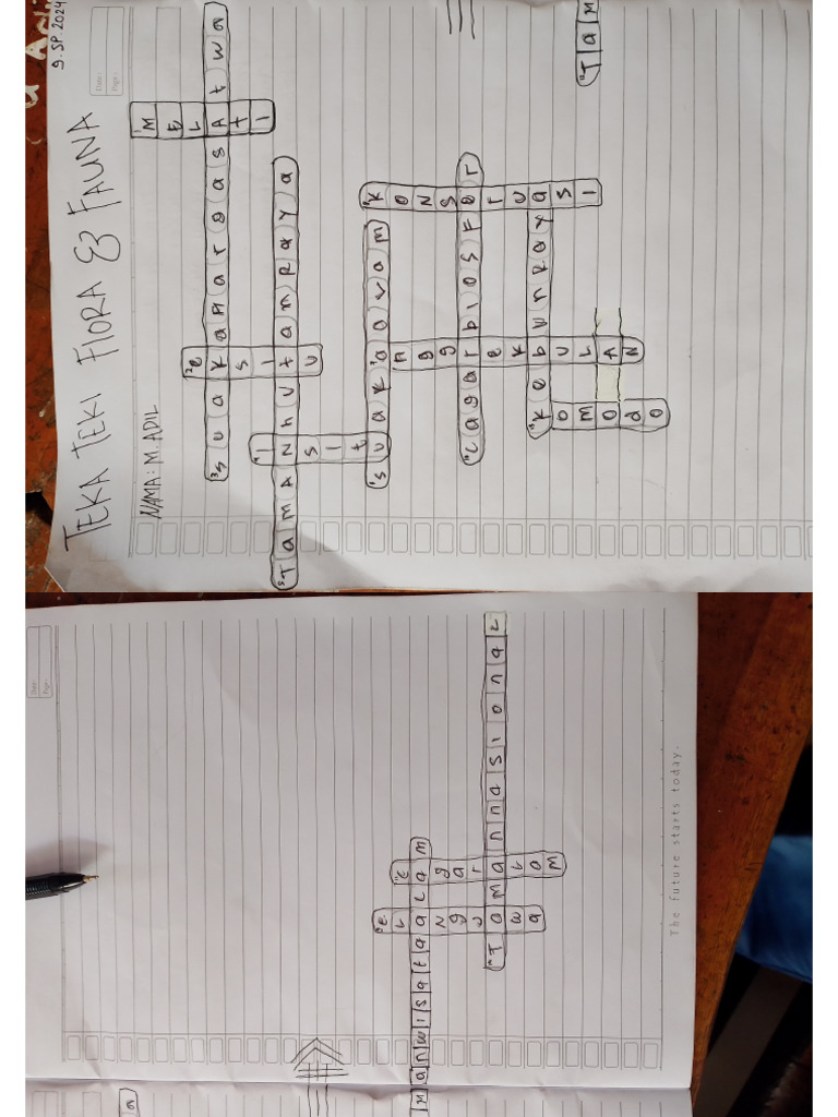 M.Adil, 11 C2 | PDF