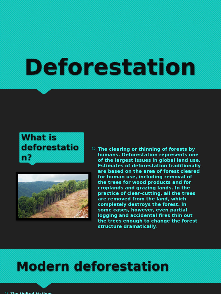 Deforestation | PDF