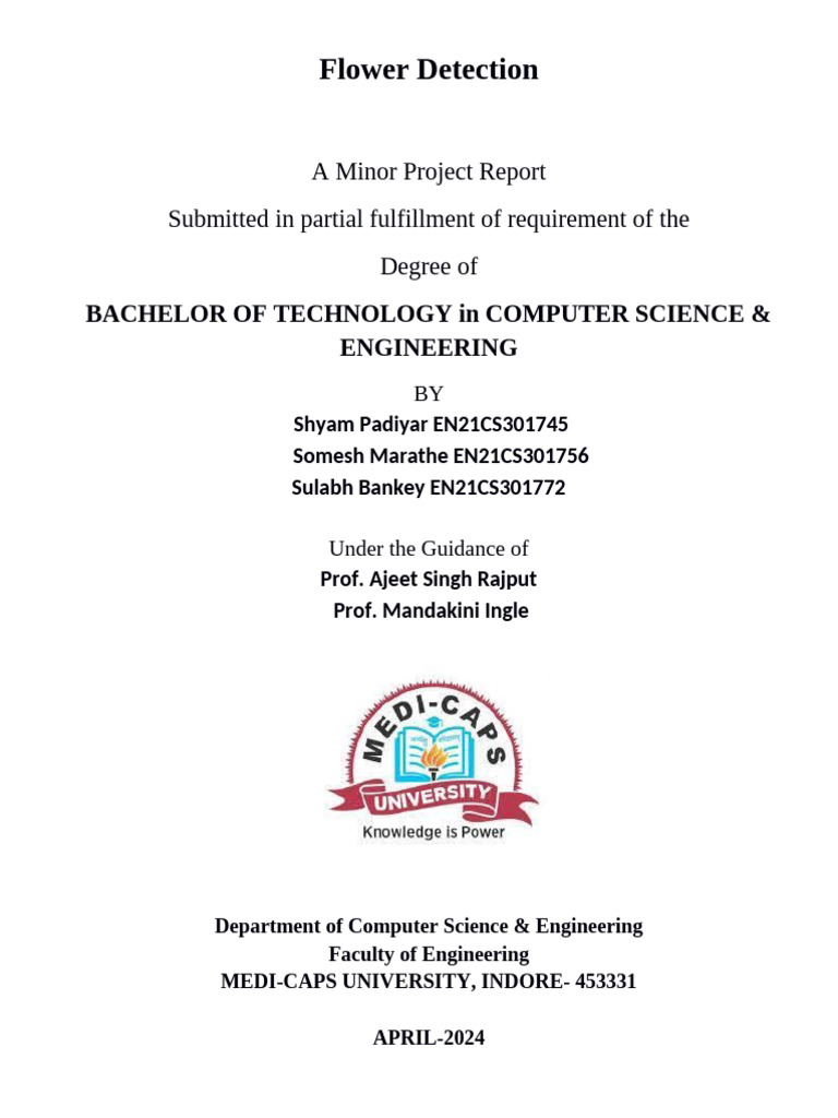 BTech - CSE - MINI Project - Report Format | PDF