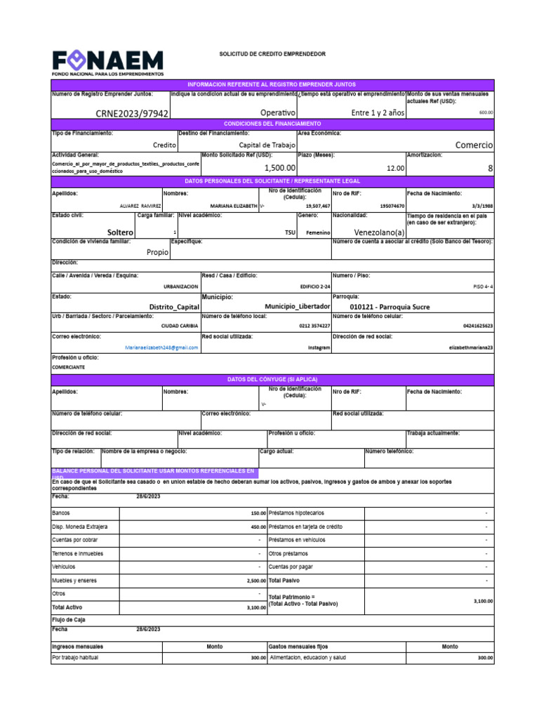 PLANILLA DE FONAEM MARIANA ALVAREZ - Google Sheets | PDF