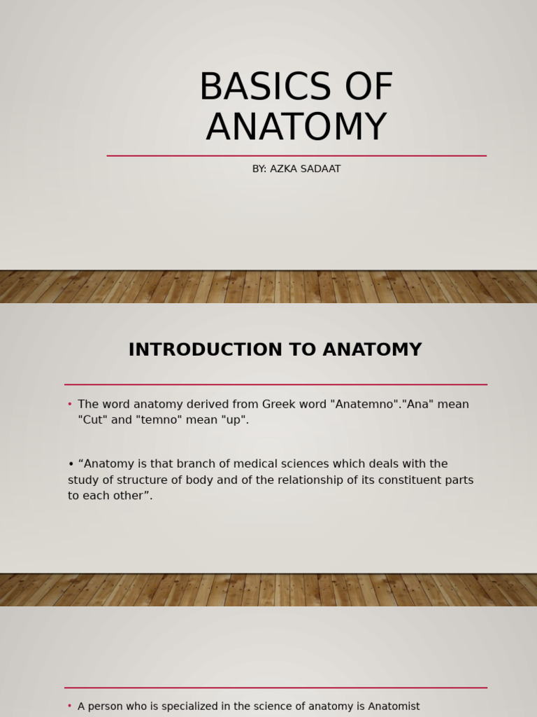 Anatomy and Basics | PDF