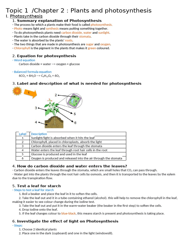 Ch.2 Plants and photosynthesis | PDF