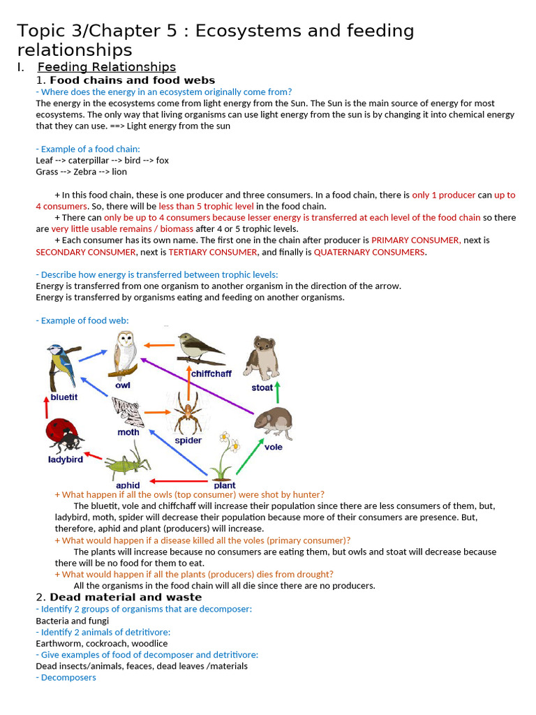 Ch.5 Ecosystems and Feeding Relationships | PDF