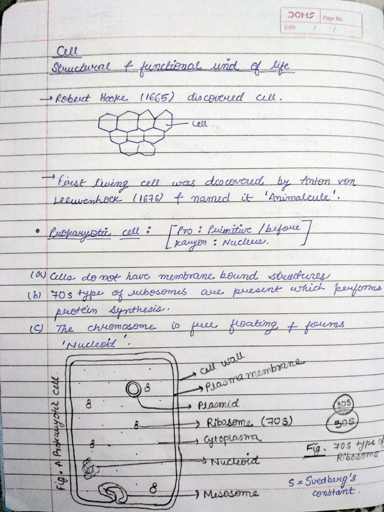 Cell (Structural and Functional Unit of Life) | PDF