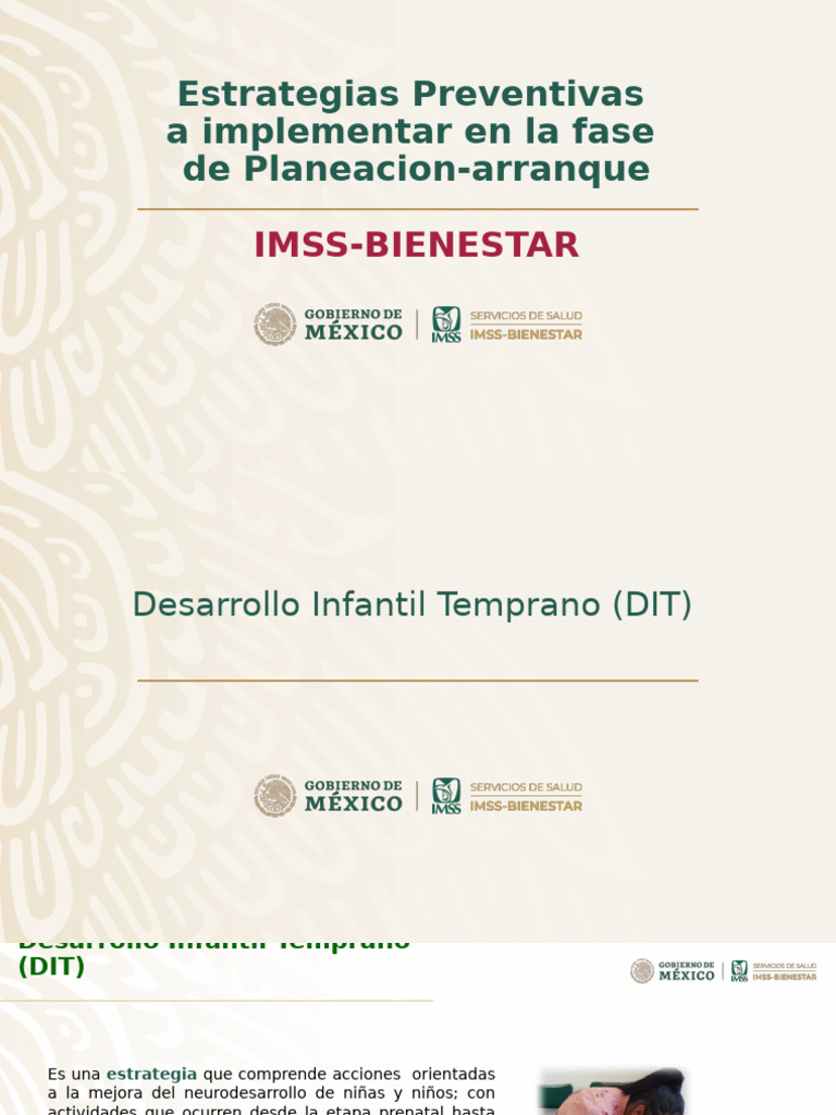 Programas Preventivos | PDF