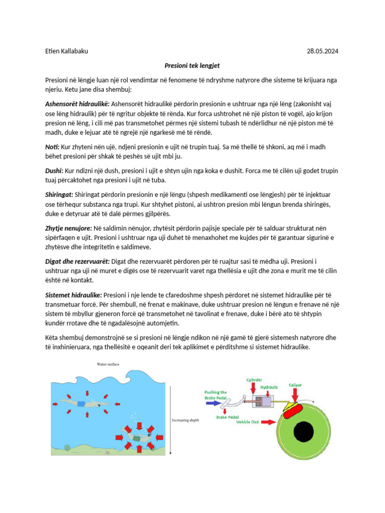 Presioni Ne Lengje | PDF