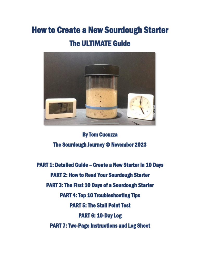 Sourdough Starter Creation Guide | PDF | Breads | Staple Foods
