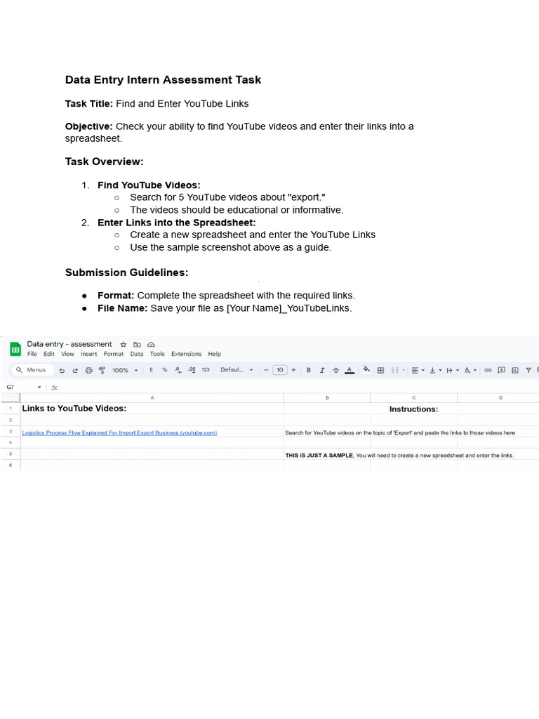 Data Entry Intern Assessment Task | PDF