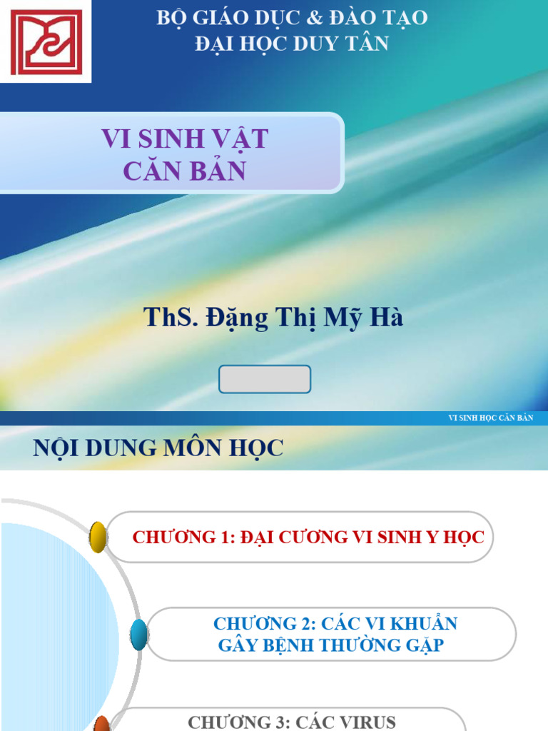 Căn B N Vi Sinh | PDF